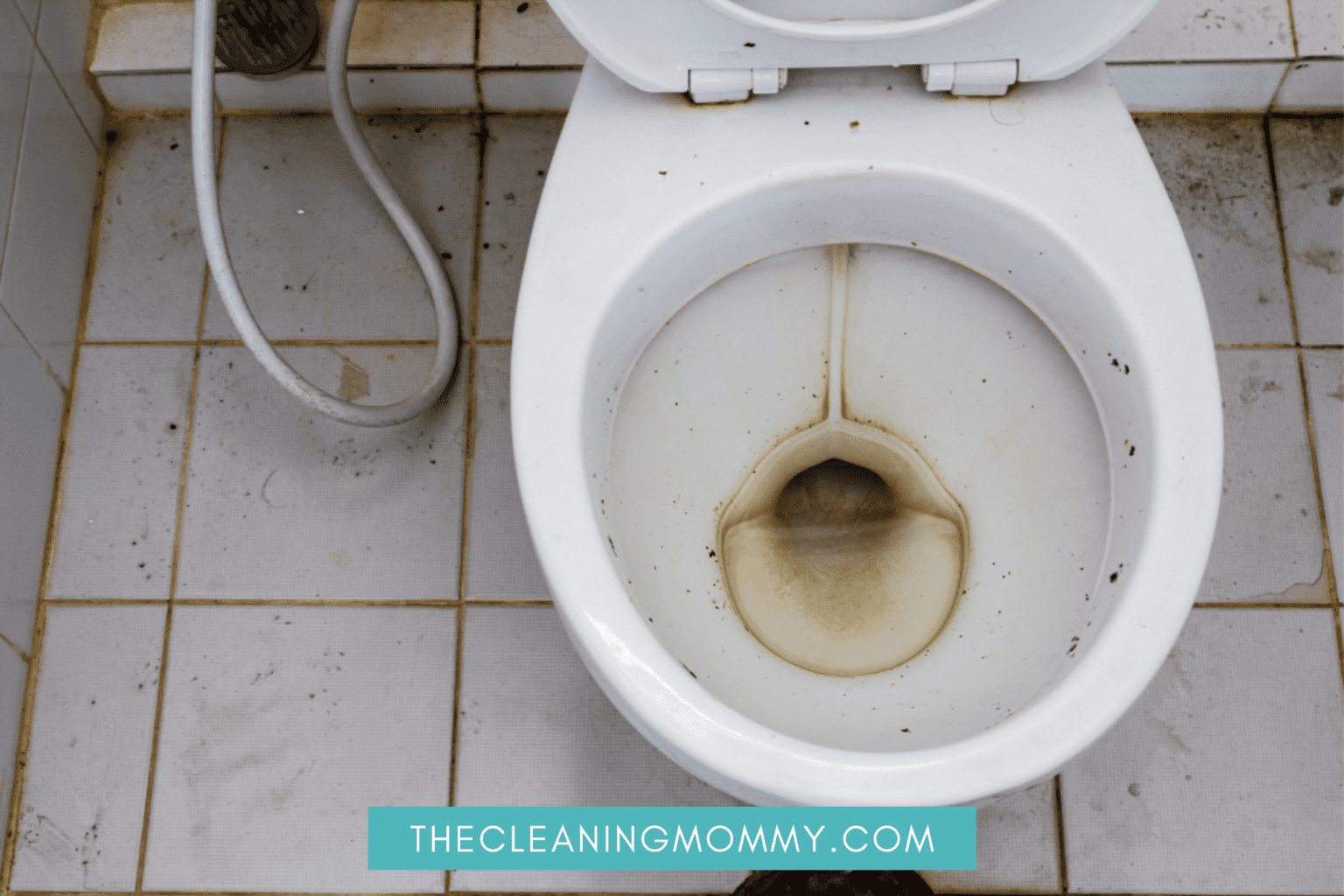 Get Rid Of Toilet Bowl Ring