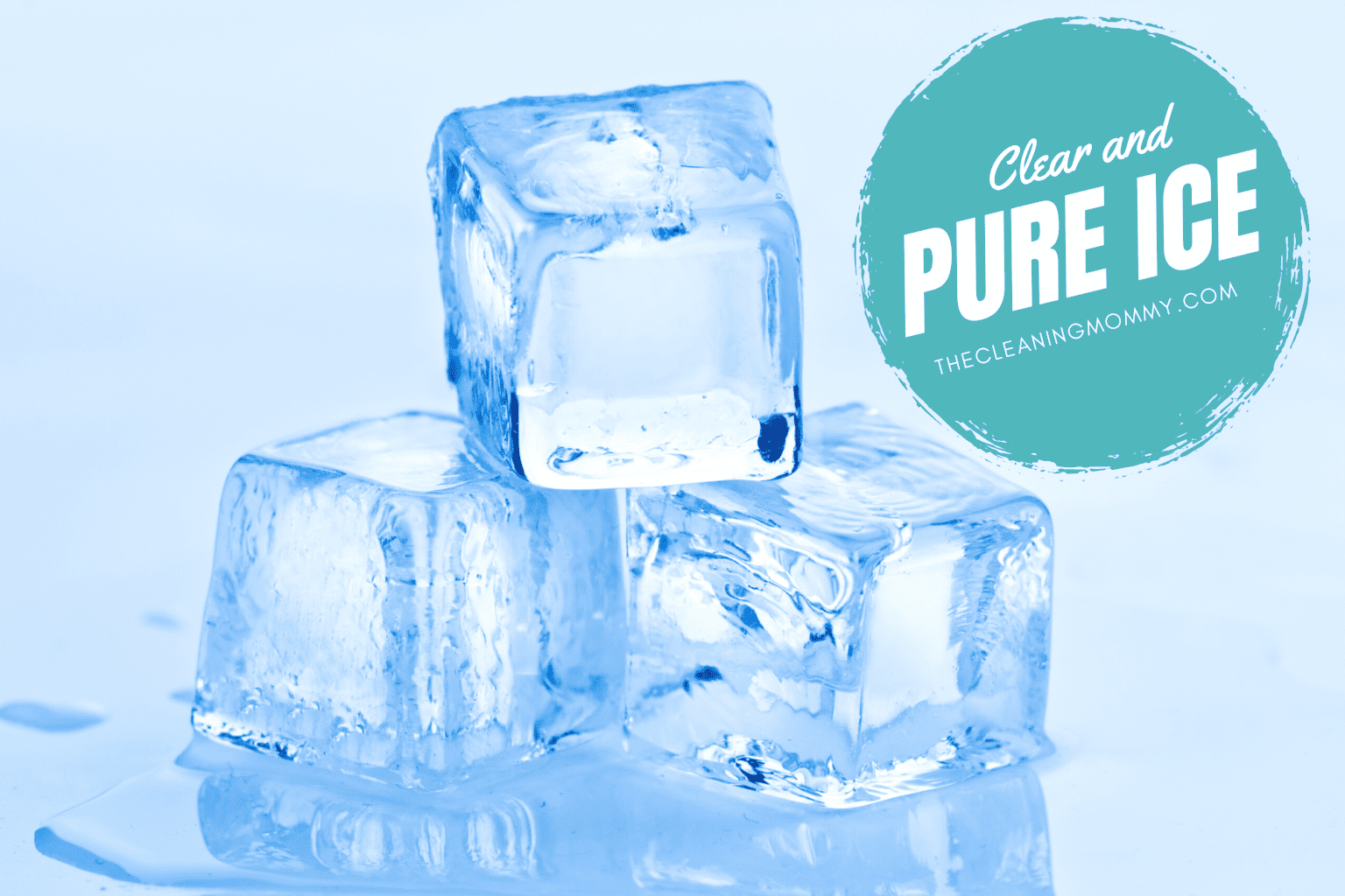 How to Clean a Portable Ice Maker: 4 Easy Steps - The Cleaning Mommy