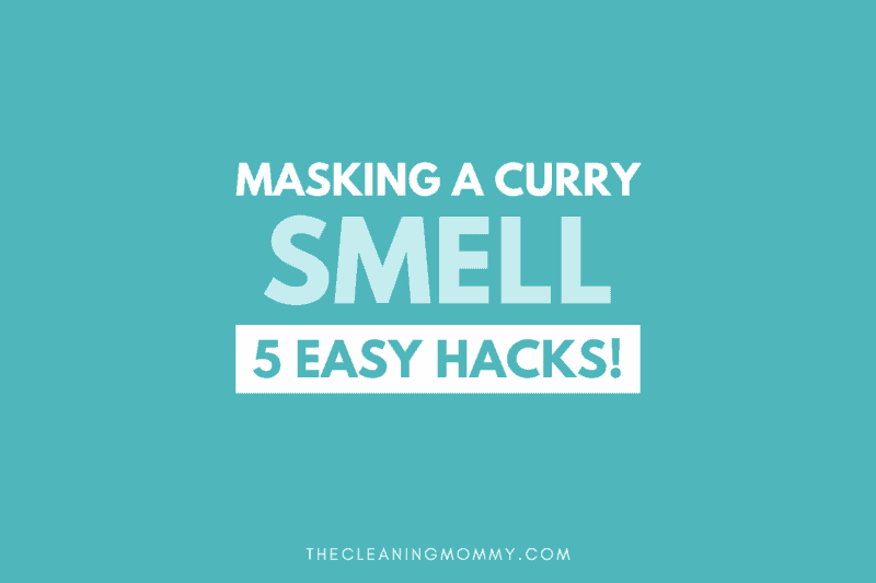 How to Get Curry Smell Out of House (like it never existed) - The ...