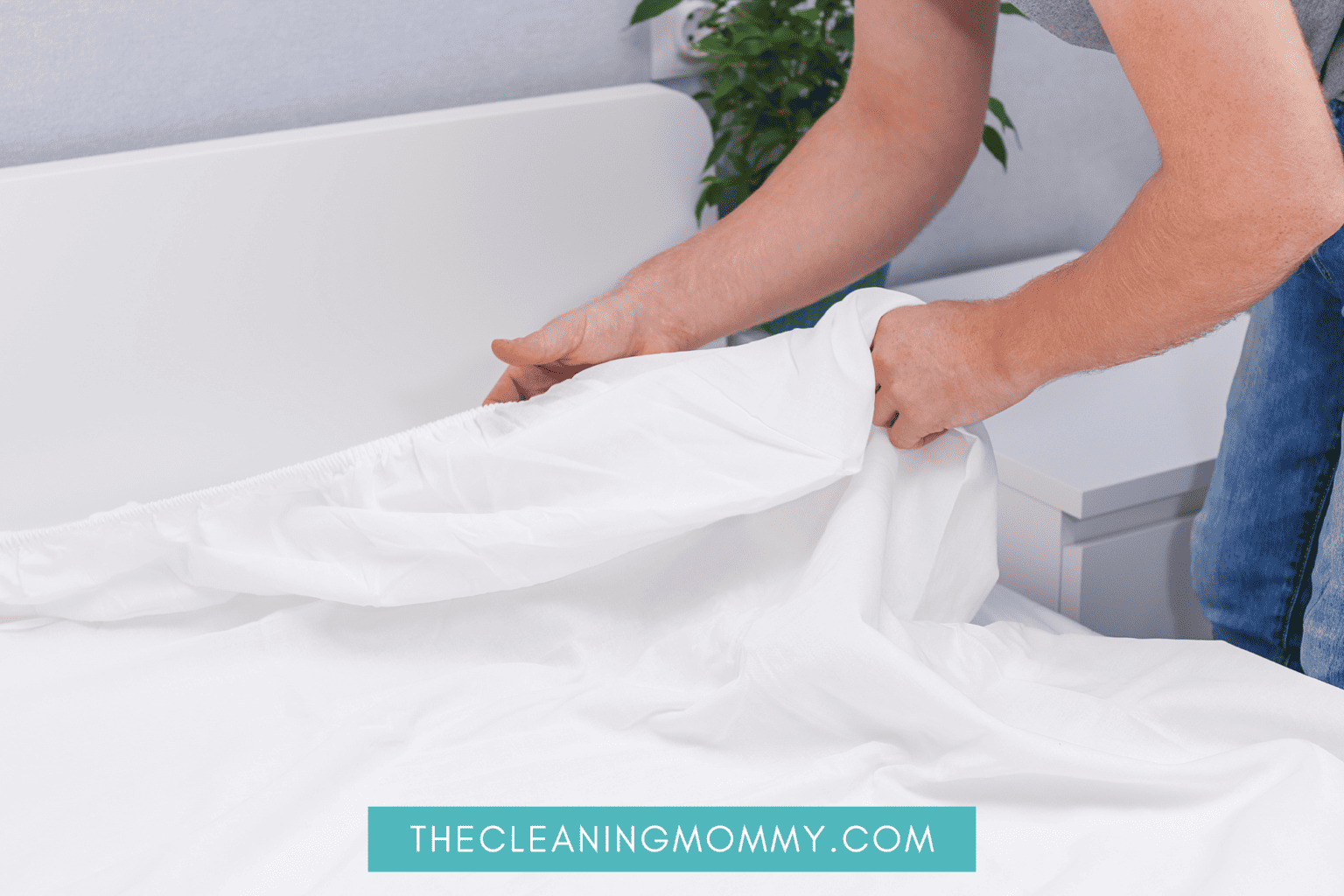 Clean After Being Sick: Get Your Home Sanitized Quickly - The Cleaning ...
