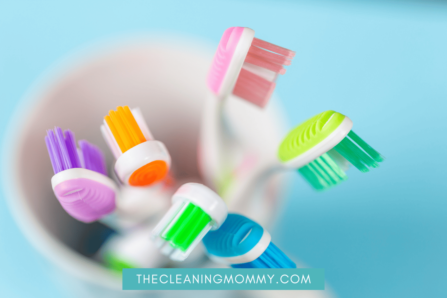 18 Household Items You Are Forgetting to Replace - The Cleaning Mommy